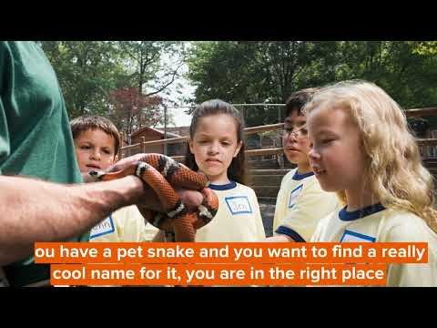 Seriously Cool Snake Names With Meanings