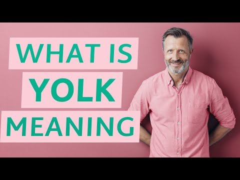Yolk | Definition of yolk
