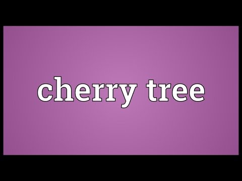 Cherry tree Meaning
