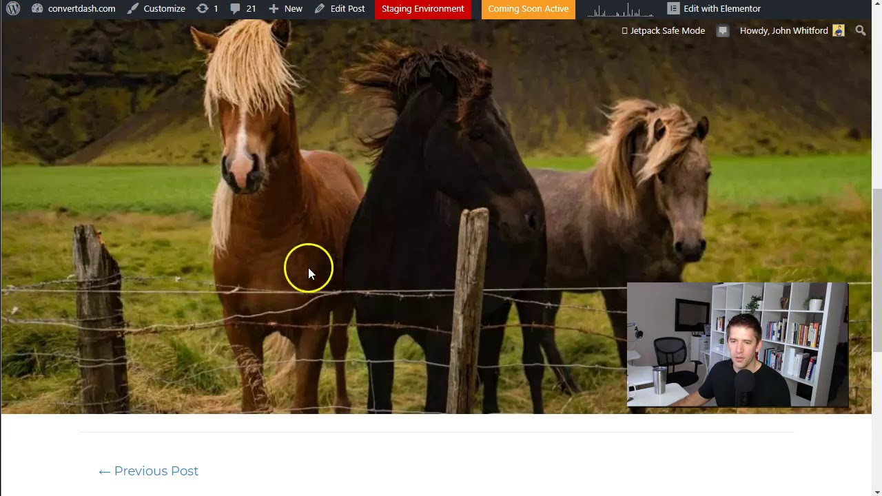 Advanced Gutenberg Blocks Review: Great plugin for bloggers!