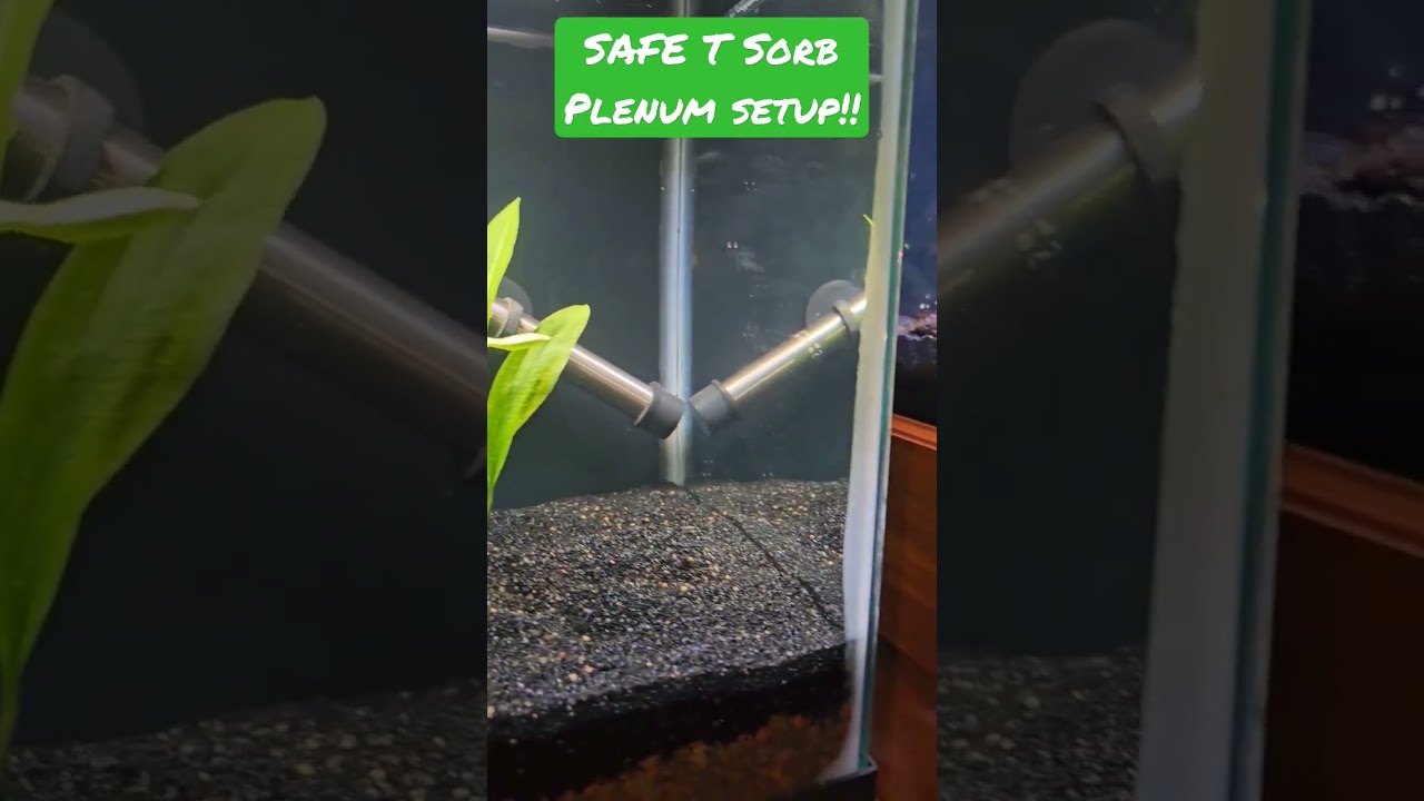 Aquarium SafeTSorb Setup [Anoxic Plenum 😲]