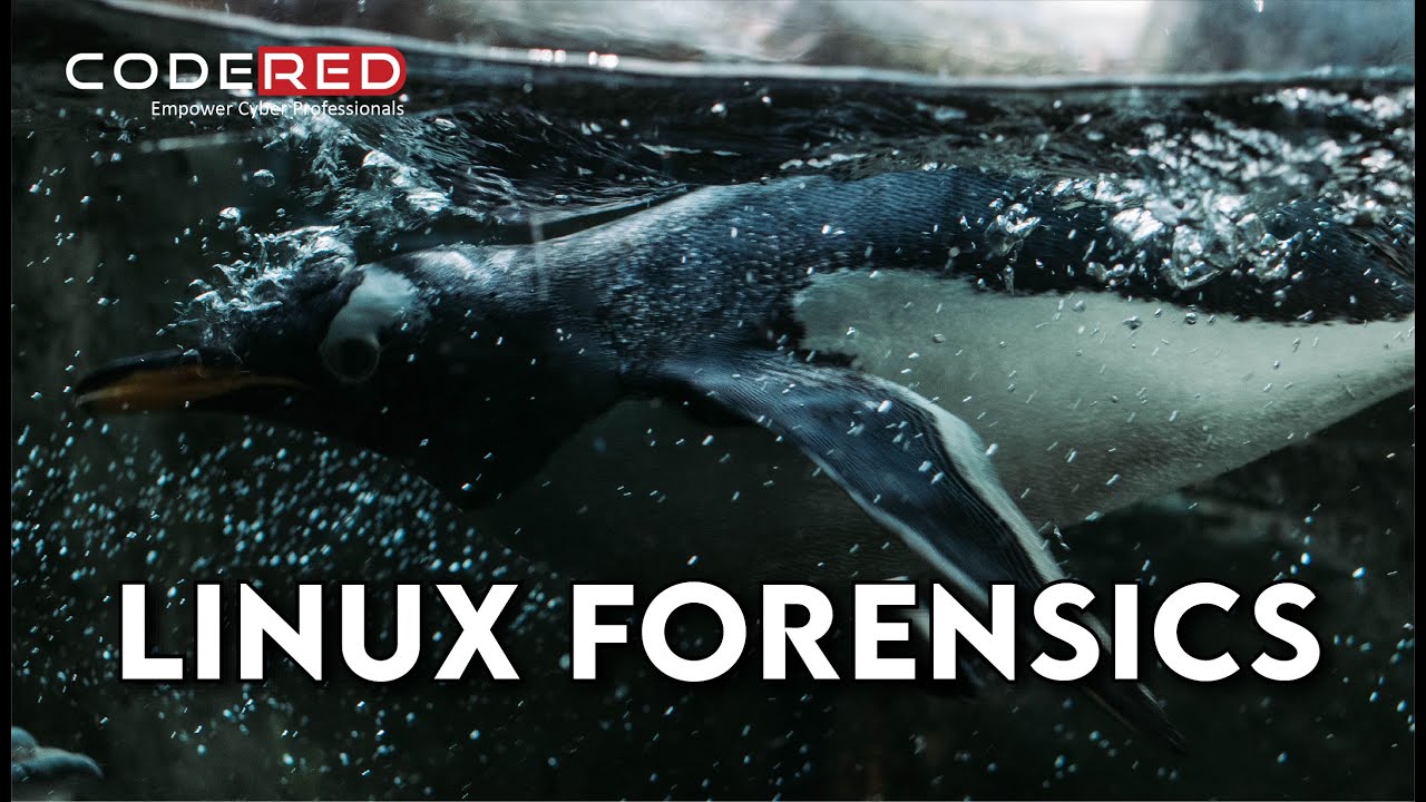 Linux Forensics - Course Overview