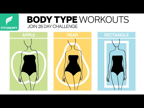 Body Type Workout Plan