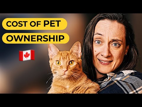 How Much It Costs to Own a Pet In Canada | Toronto