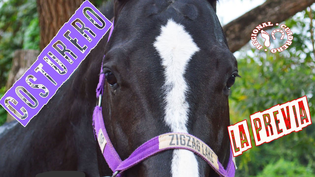 SEAMSTRESS - The Preview - Super Classic Champion of Champions - H. Santa Ana Ctes 14.08.22