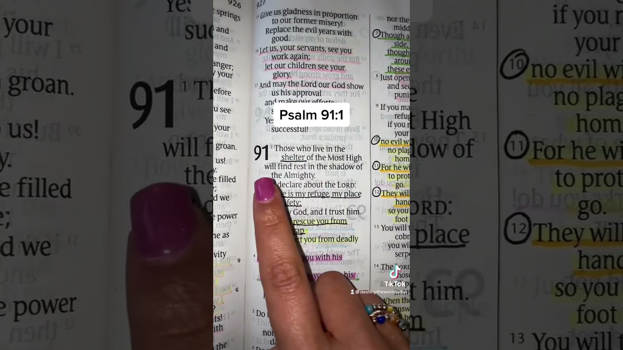 🕊️ The Secret Place of Safety (Psalm 91:1)