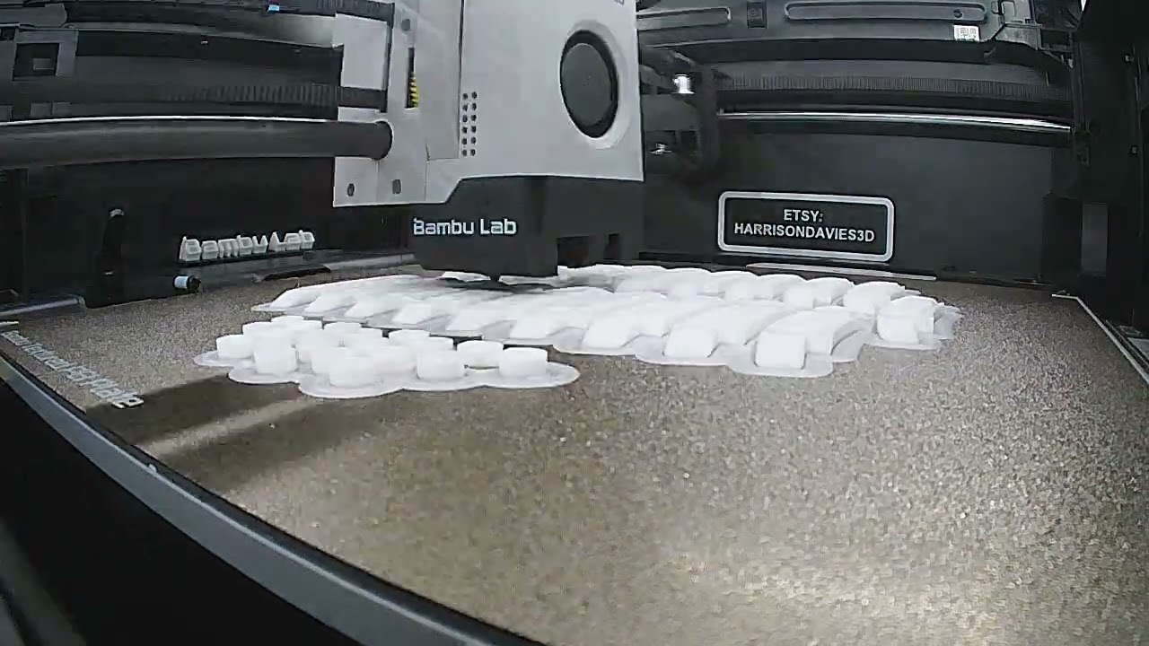 Bambu Lab P1S 3D Printing Timelapse #28