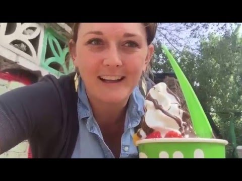 What is froyo? (Frozen yogurt)