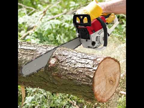 20 Inches 52cc Gasoline Chain Saw Gas-Powered Cordless Chainsaw for