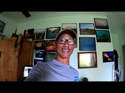 Everything Hawaii How it all got started