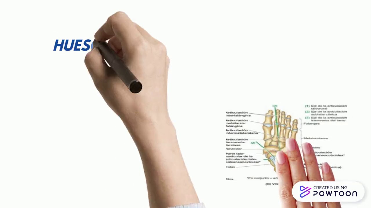 Presentación TICS.pptx