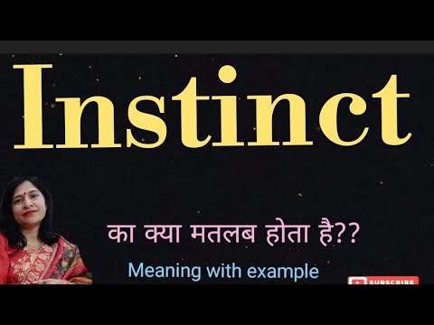 Instinct meaning l meaning of instinct l instinct meaning in hindi l vocabulary