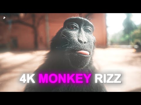 4K RIZZ MONKEY EDIT