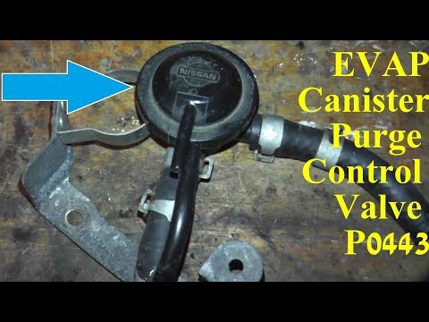How to Test and Replace EVAP Canister Purge Control Valve P0443