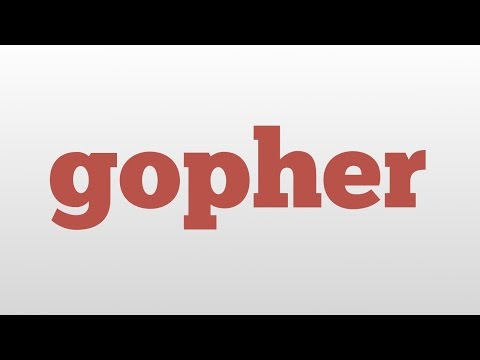 gopher meaning and pronunciation