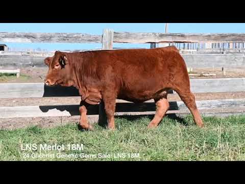 LNS 18M