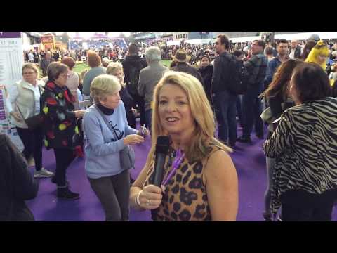 Day 3 of Westminster Kennel Club Dog Show in full swing! #tabletalklive #caninechronicle