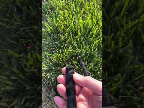 Broken sprinkler head. 3 easy step to fix it.