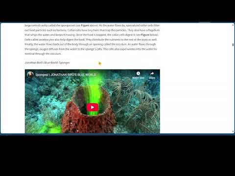 Guest Hollow - FREE High School Biology - Grades 9 - 12