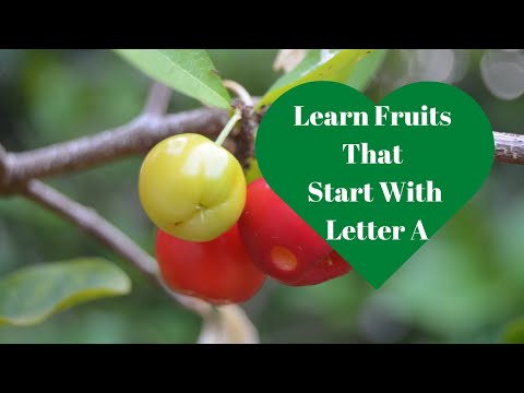 A List of Fruits that Start With the Letter A