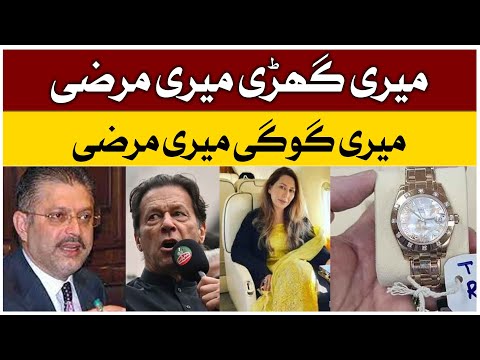Sharjeel Memon Tweet on Imran Khan | Meri Ghari Meri Marzi | Meri Gogi Meri Marzi