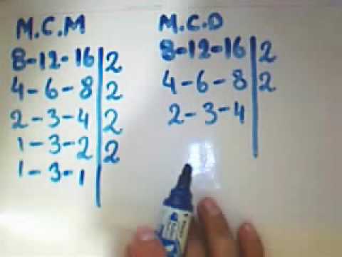 MCD Y MCM | MATEMÁTICAS DIVERTIDAS