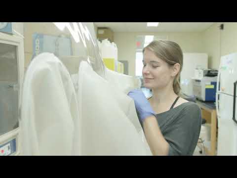 Engineered Cross feeding in Bacteria Consortia