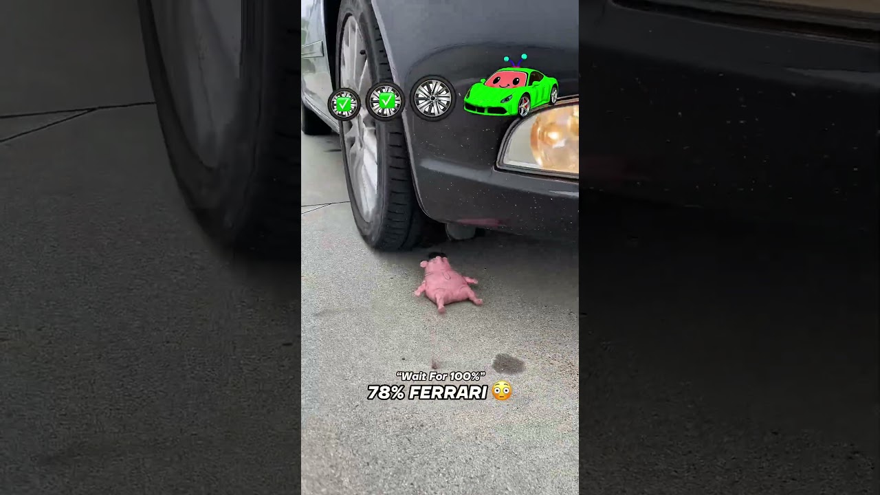 Wait For COCORARI 😳 #shorts