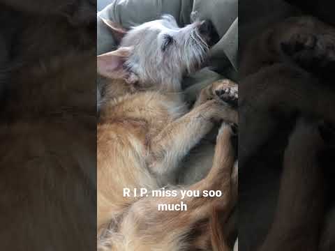 I was Blessed to have Bill in my life, I miss you so much boy.