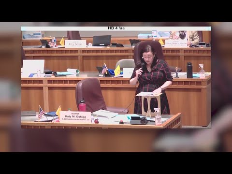 New Mexico Senate approves voting access bill