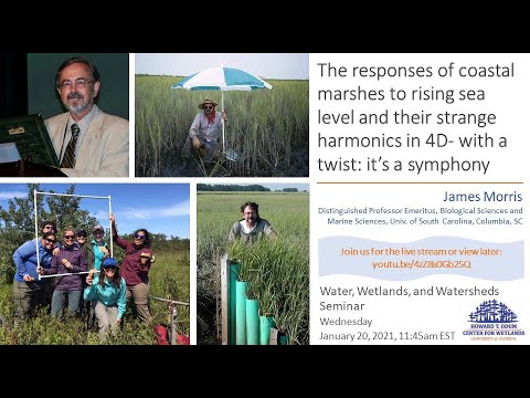 W3seminar: Responses of coastal marsh to rising sea level & strange harmonics in 4D: it’s a symphony