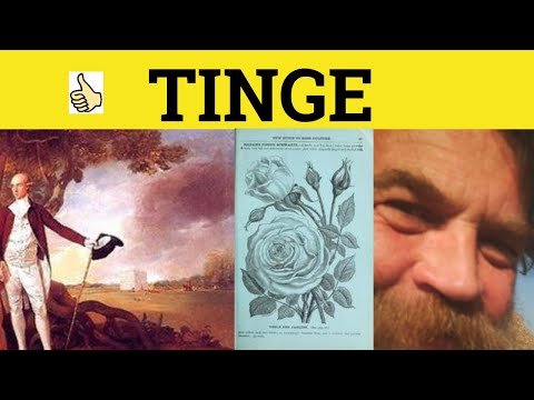🔵 Tinge Meaning - Tinged Examples - Tinge Definition - Tinged Explained - Tinge Defined - GRE
