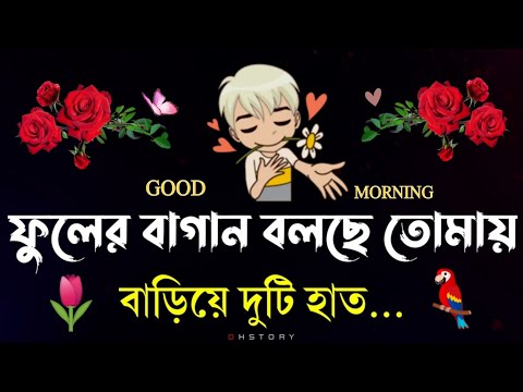 ছোট্ট পাখি বললো এসে | শুভ সকাল | sms | good morning | bangla love shayari