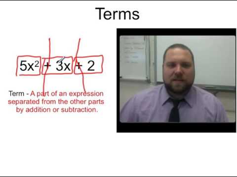 The Parts of an Expression