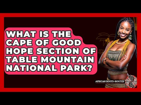 What Is The Cape Of Good Hope Section Of Table Mountain National Park? - African Roots And Routes