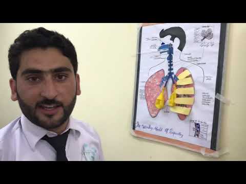 Anatomy and Physiology | Project Exhibition | BSN Program Coordinator SMH