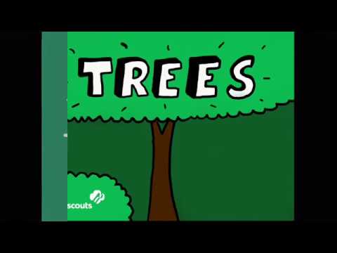 Girl Scout Cadette Outdoor Journey Take Action Project