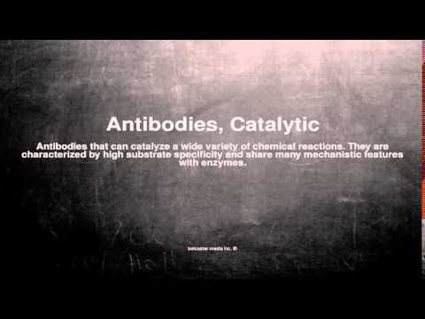 Medical vocabulary: What does Antibodies, Catalytic mean
