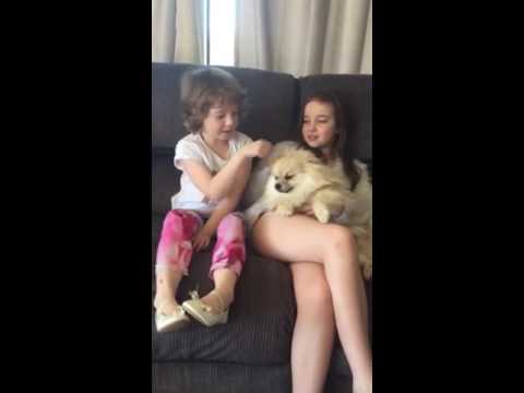 Emma's wish for a Pomeranian puppy