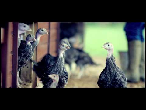 Waitrose "Turkey", by Stuart Douglas
