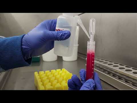 Obtaining chromosomes (for karyotyping) from heparin blood sample