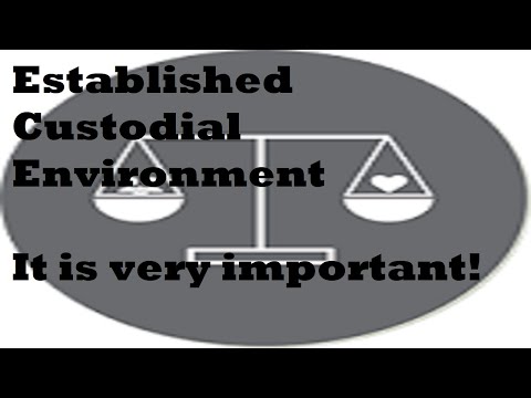 The importance of an established custodial environment may surprise you.