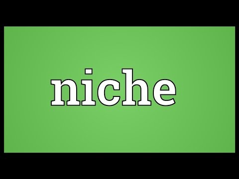 Niche Meaning
