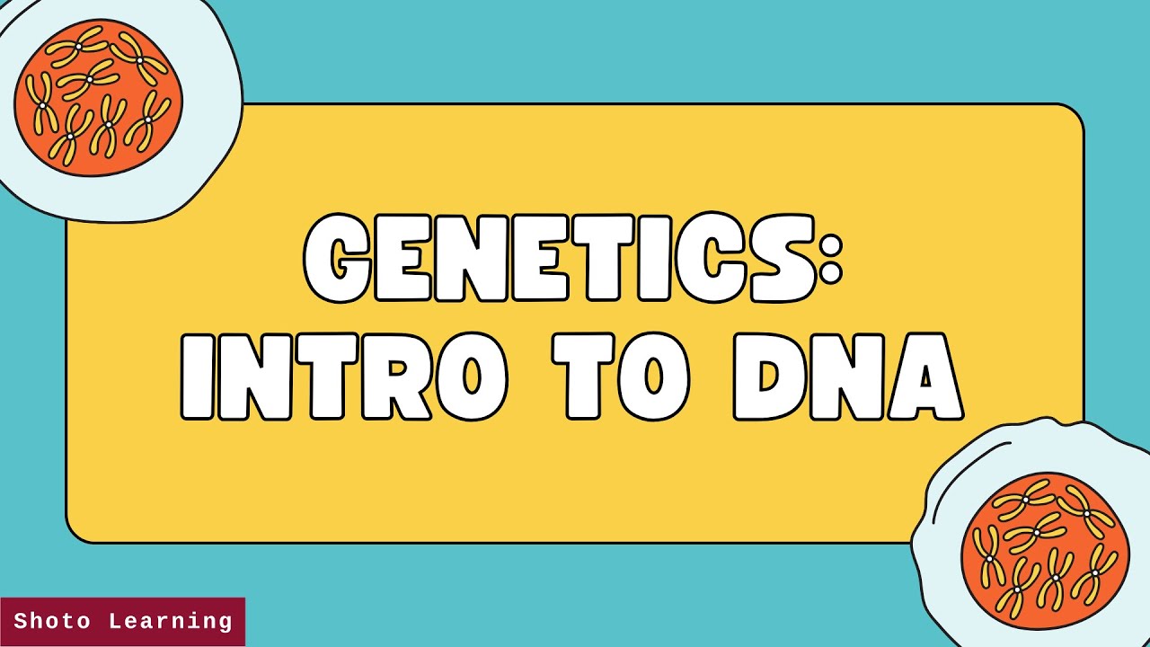 Unraveling DNA: A Comprehensive Introduction to Genetics PowerPoint Presentation