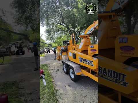 Kevin's Tree Service - Big Oak Removal #treework #treeremoval #cranework