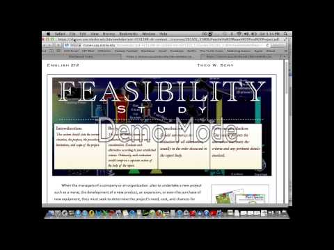 Feasibility Report Lecture