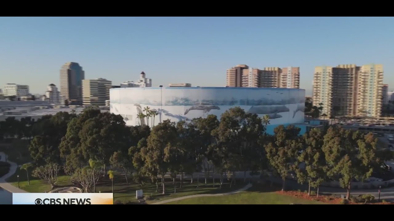 Go inside the Wyland Foundation's Mobile Learning Lab