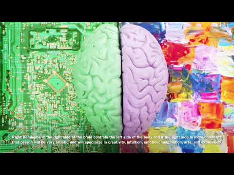 Chapter 11. Brain hemisphere dominance