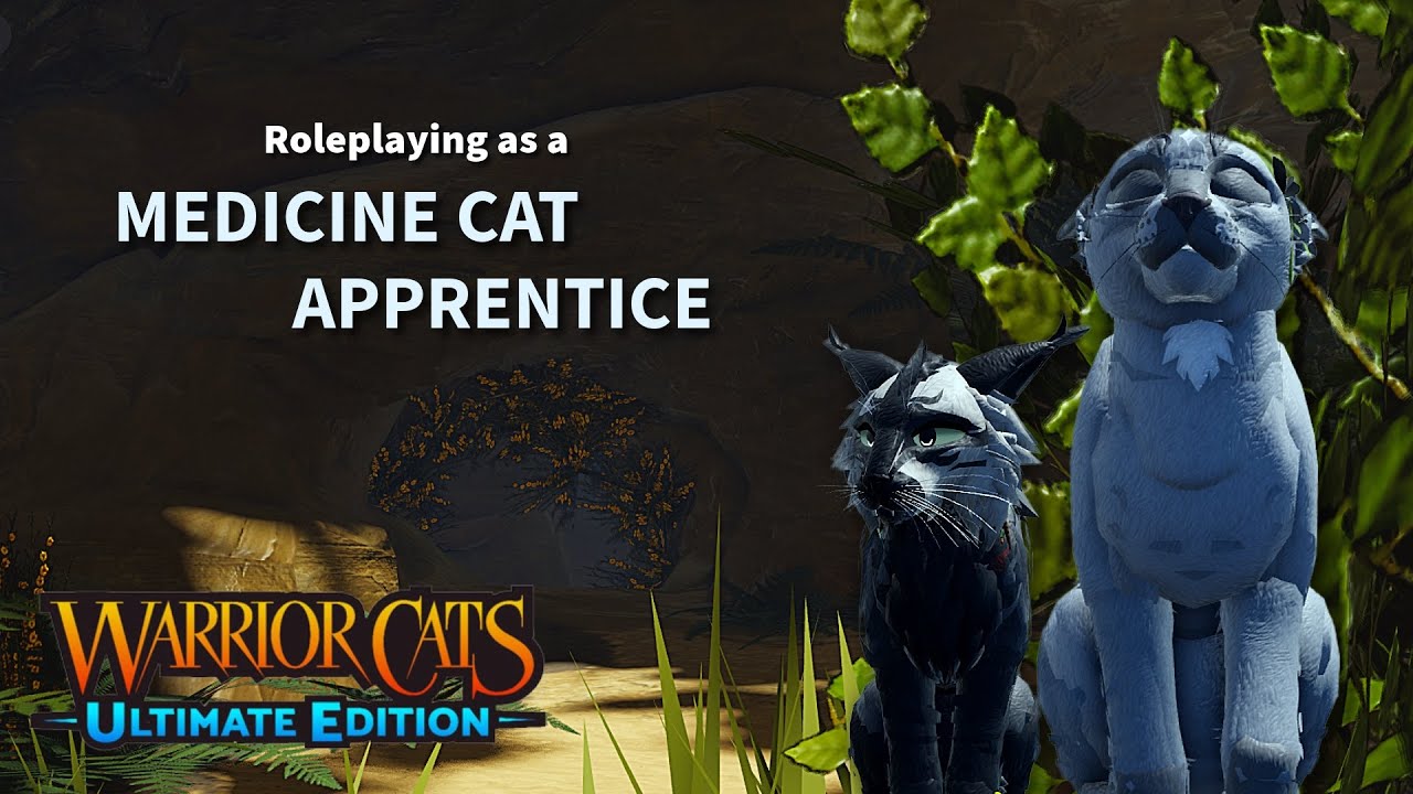 Roleplaying as Medicine Cat Apprentice | Warrior Cats; Ultimate Edition