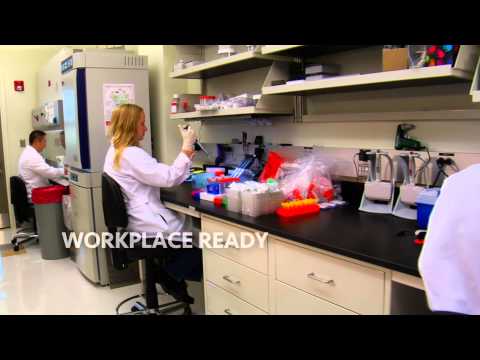 Co-op Employer